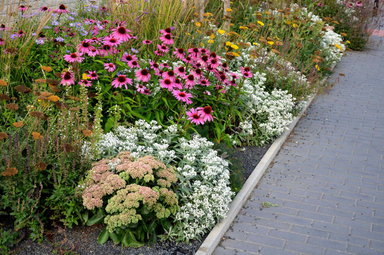 Your sidewalk strip deserves better—these easy garden ideas add major ...
