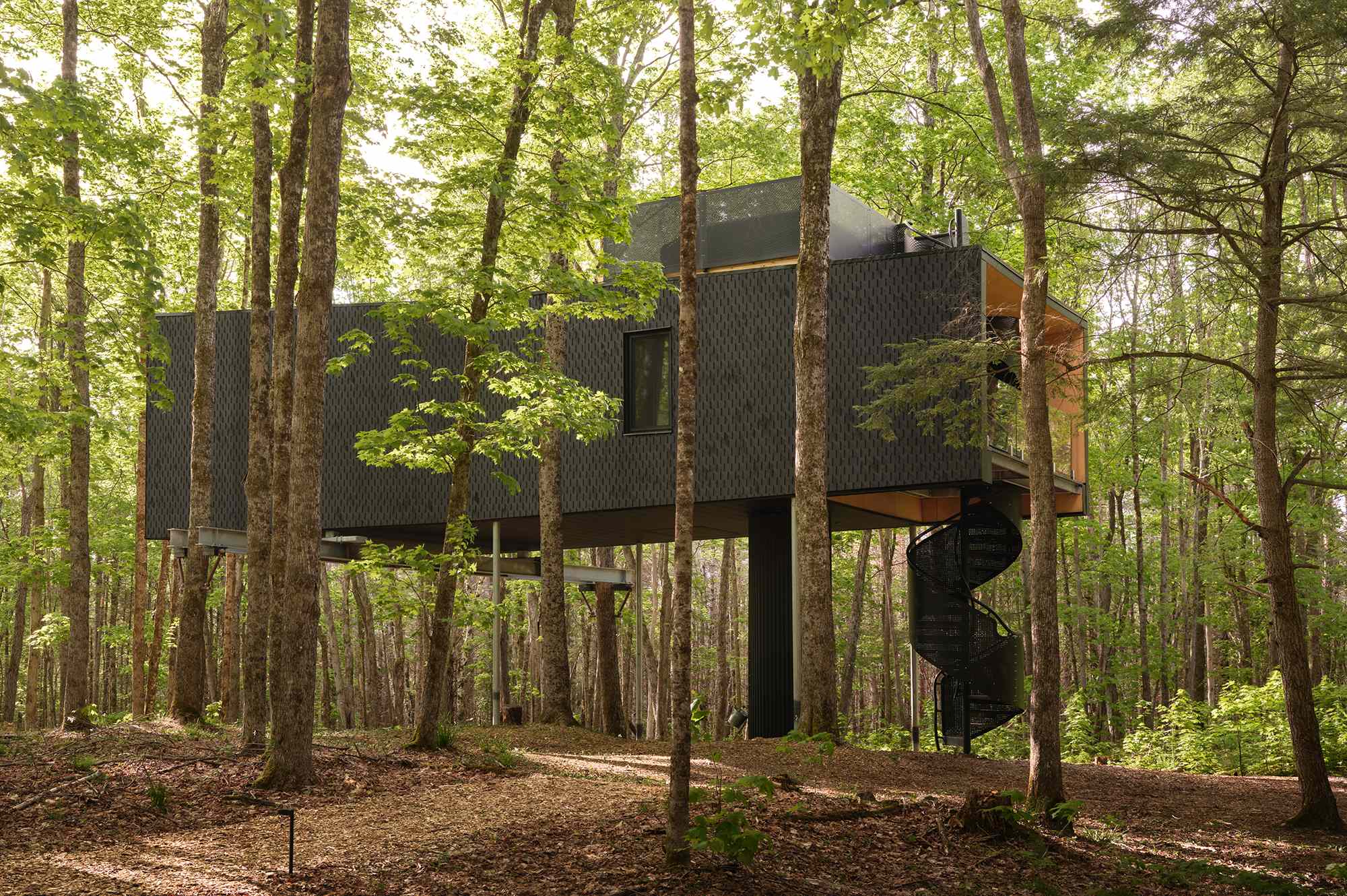 This off-grid hotel in Ontario, Canada, has 3 tree houses with ...