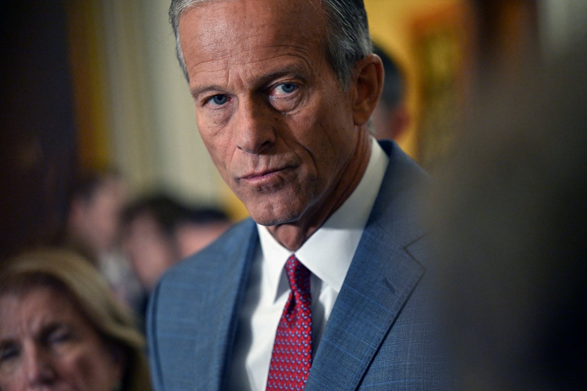 Thune bucks Trump on tying voter ID to FISA renewal: 'Not realistic'