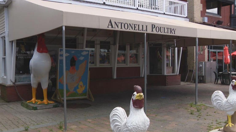 More than 445 birds euthanized after strain of bird flu detected at ...