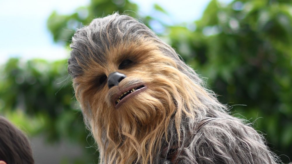 Chewbacca's entire backstory explained