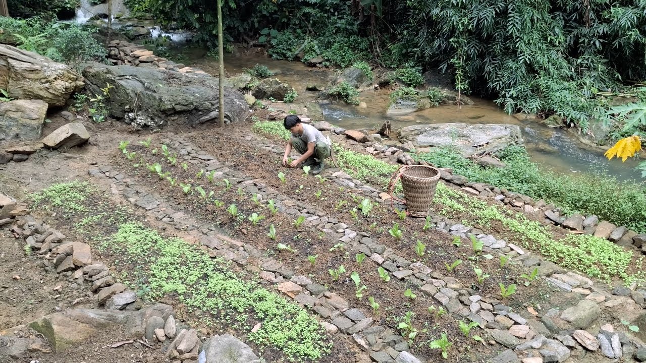 I grew my own food for a year off-grid