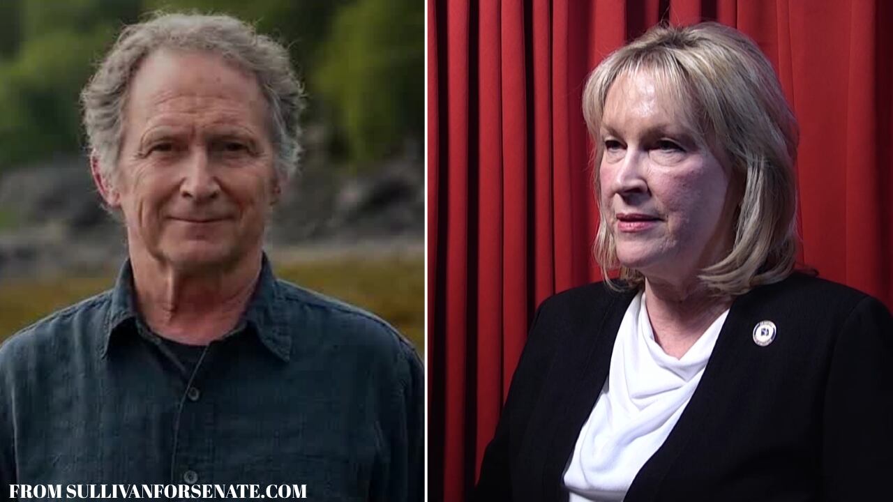 Petersburg Dan Sullivan removed from Senate race