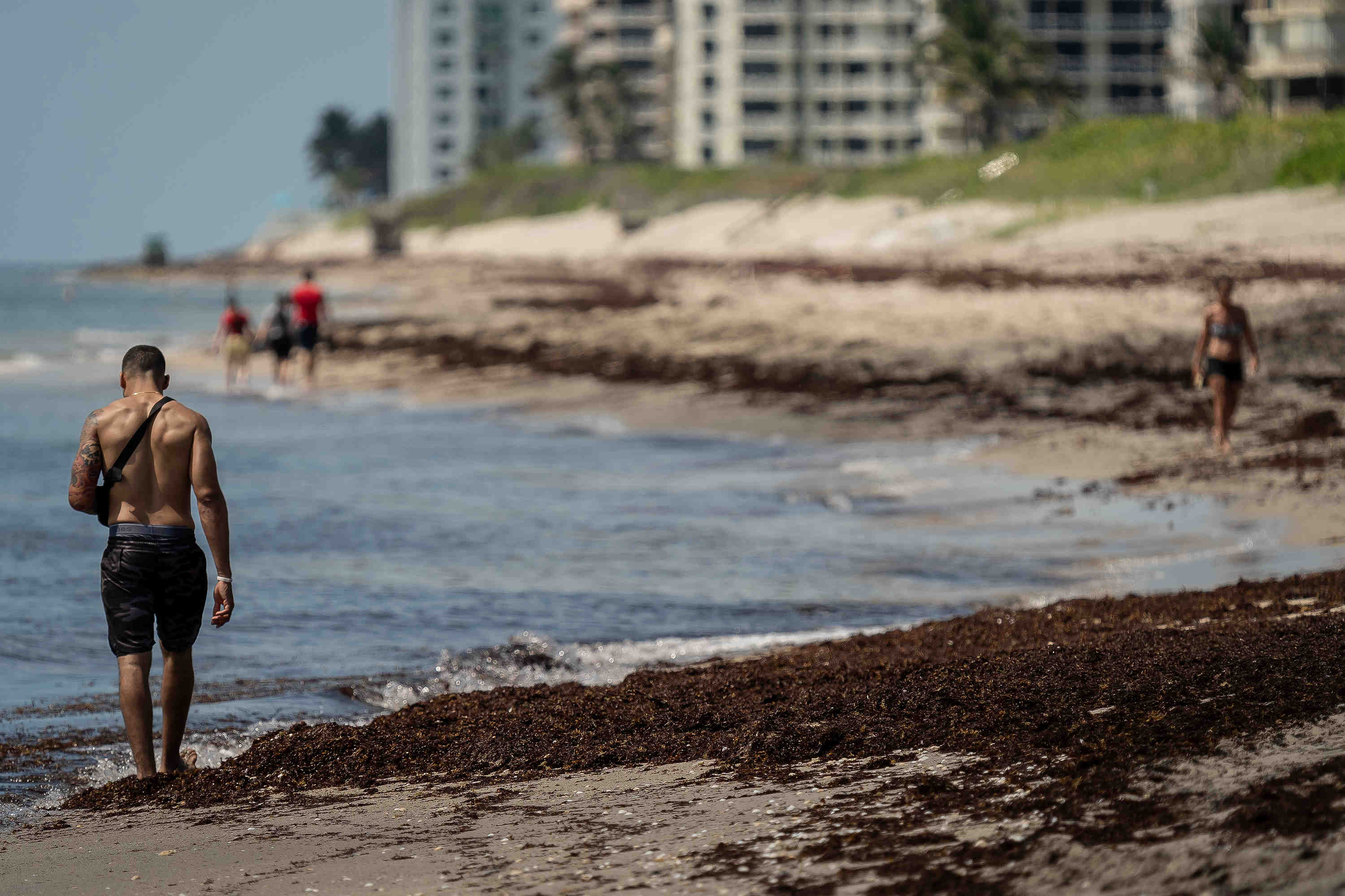 We've dealt with it, now World Cup visitors experience stinky seaweed