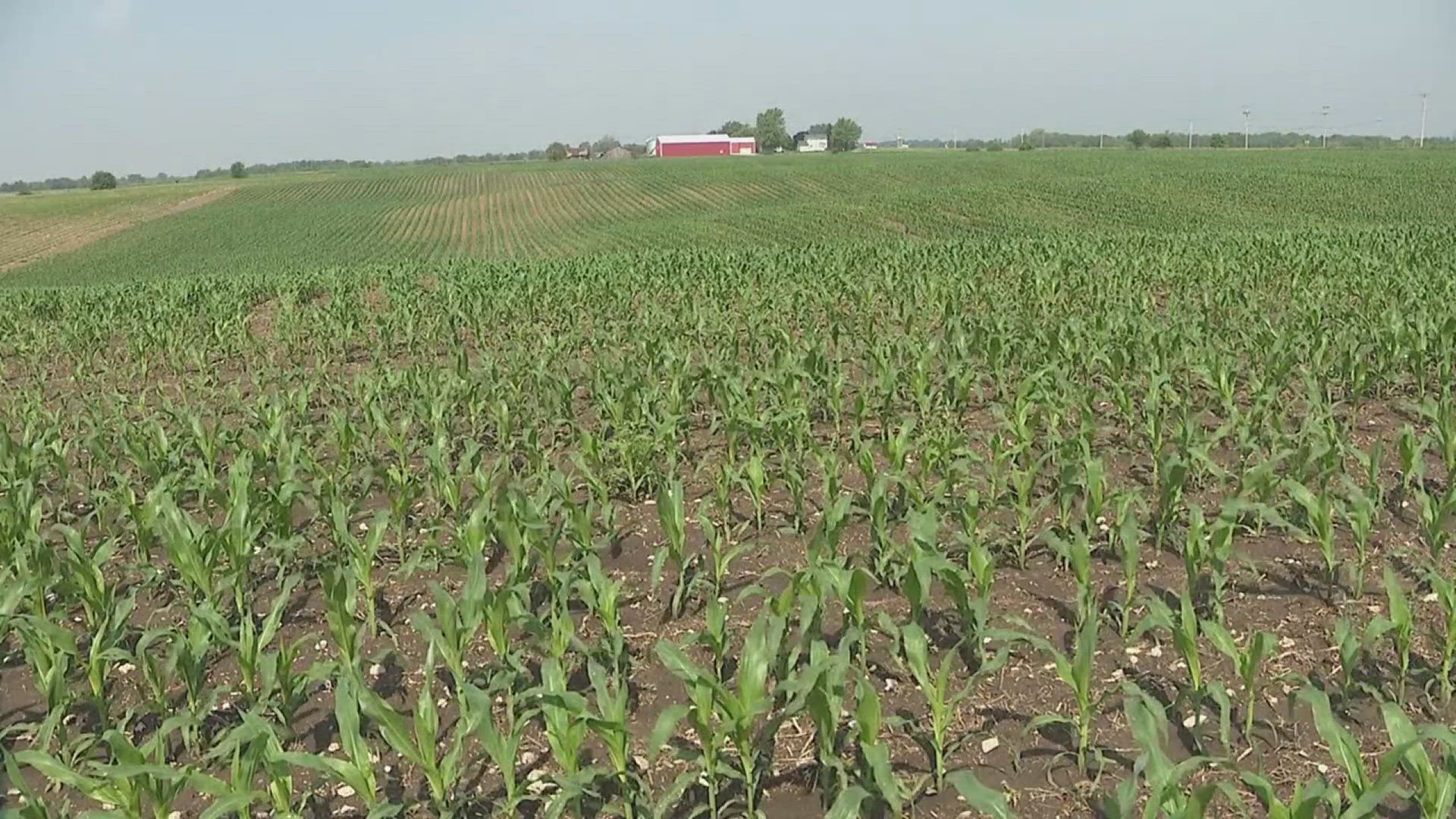 Checking in on drought levels in Iowa and Illinois