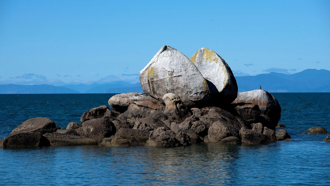 6 intriguing natural cross-sections