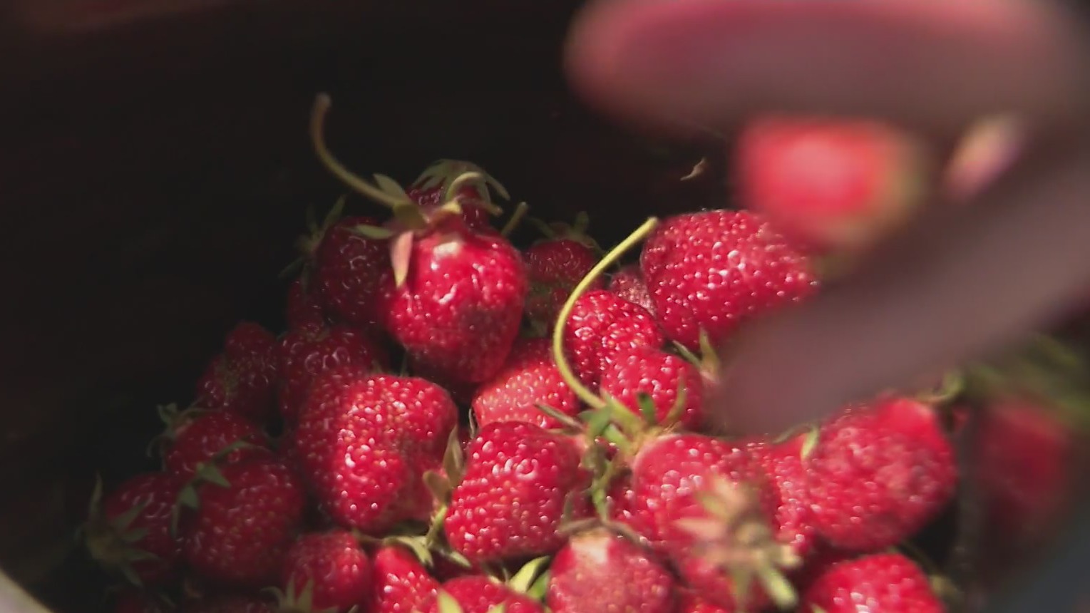 Oregon farm workers face challenges amid extreme heat