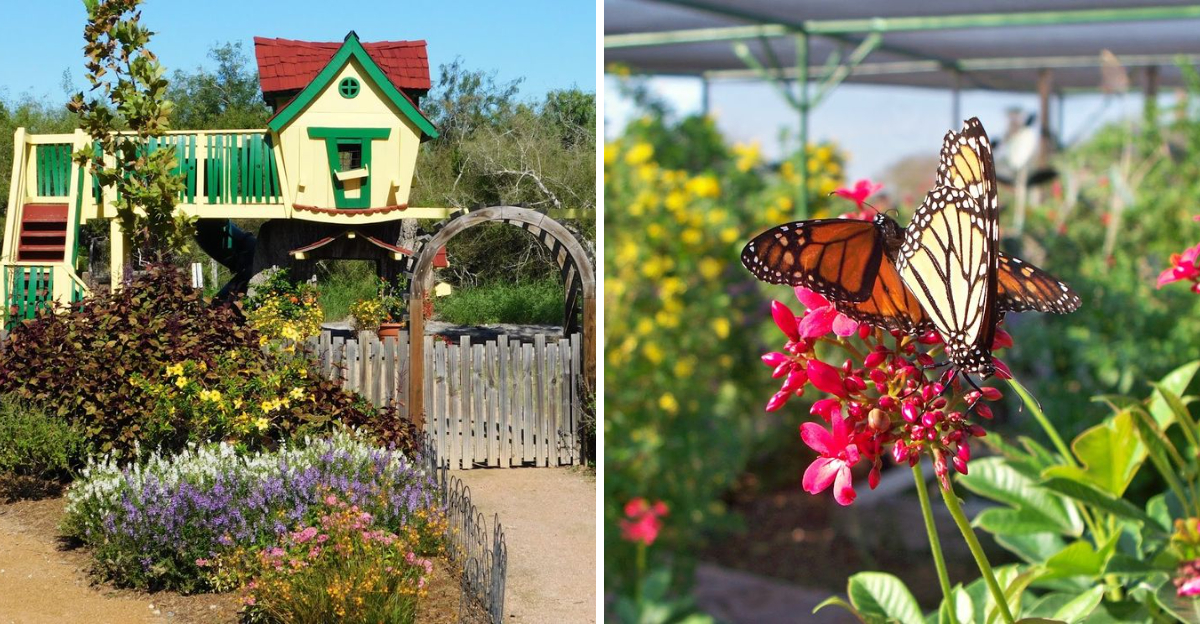 This Texas garden feels more like a tropical retreat than a typical ...