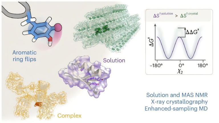 Beyond frozen snapshots, protein 'breathing' comes into view with ...
