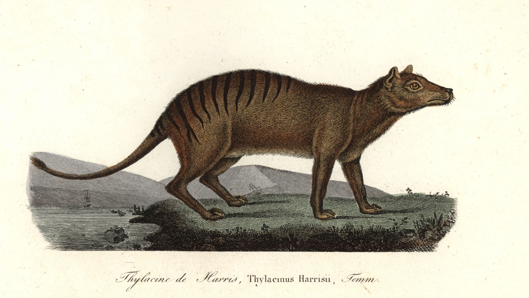 9 extinct creatures with extraordinary features