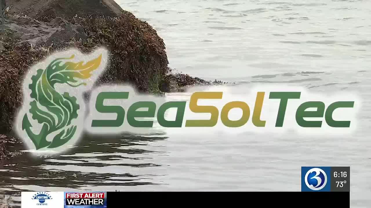 UConn grad develops seaweed coating to replace plastic in food packaging
