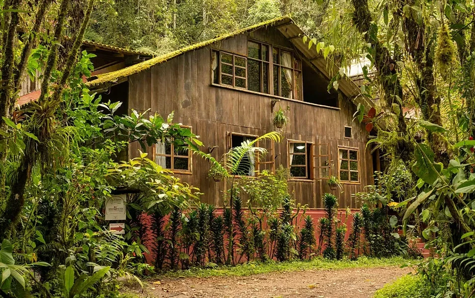 Sustainable escapes shaping 2026 travel trends