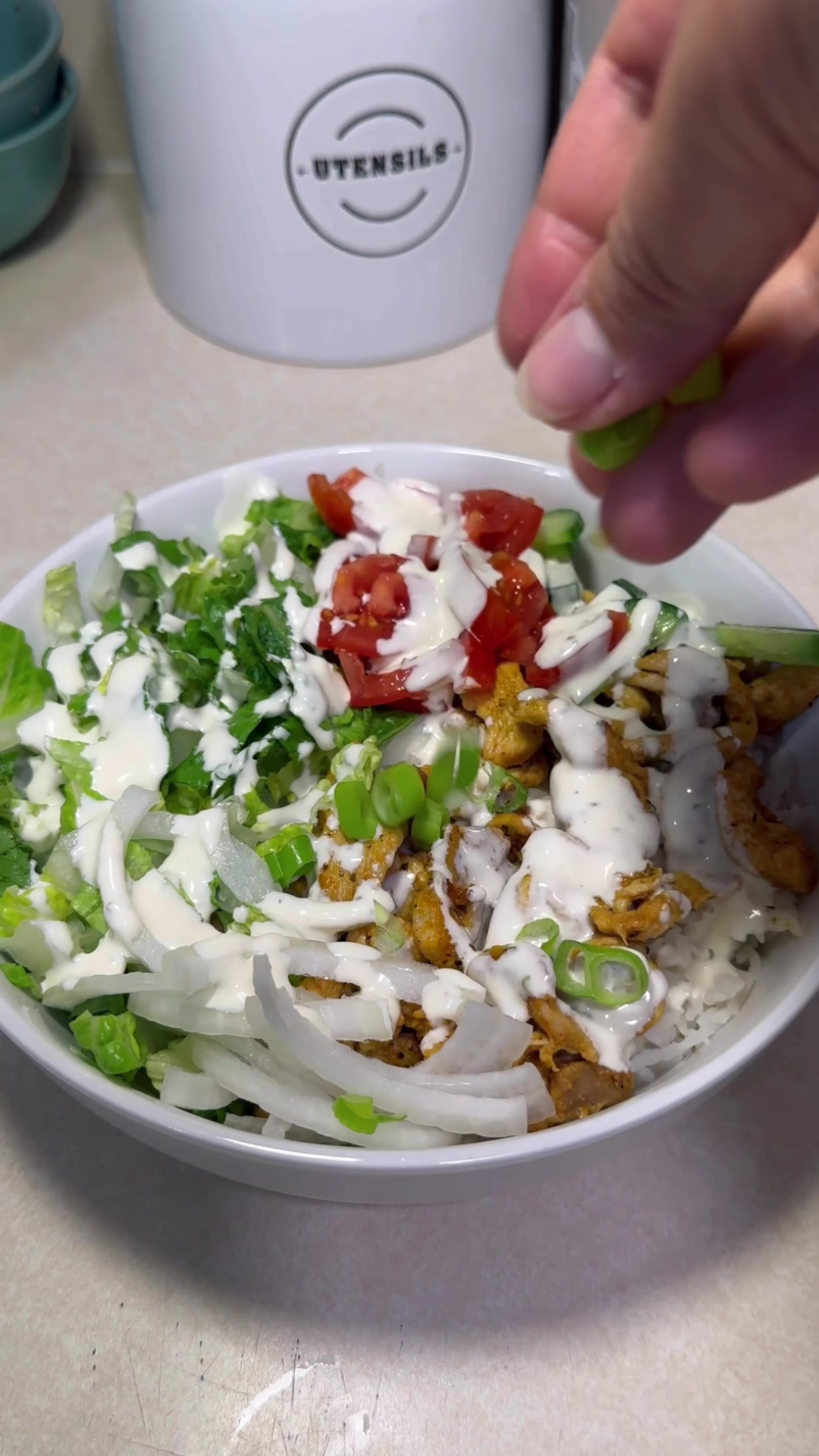Street style chicken over rice bowl inspired by NYC food carts