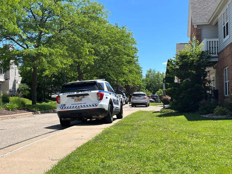 No one hurt after Madison police respond to report of armed person ...