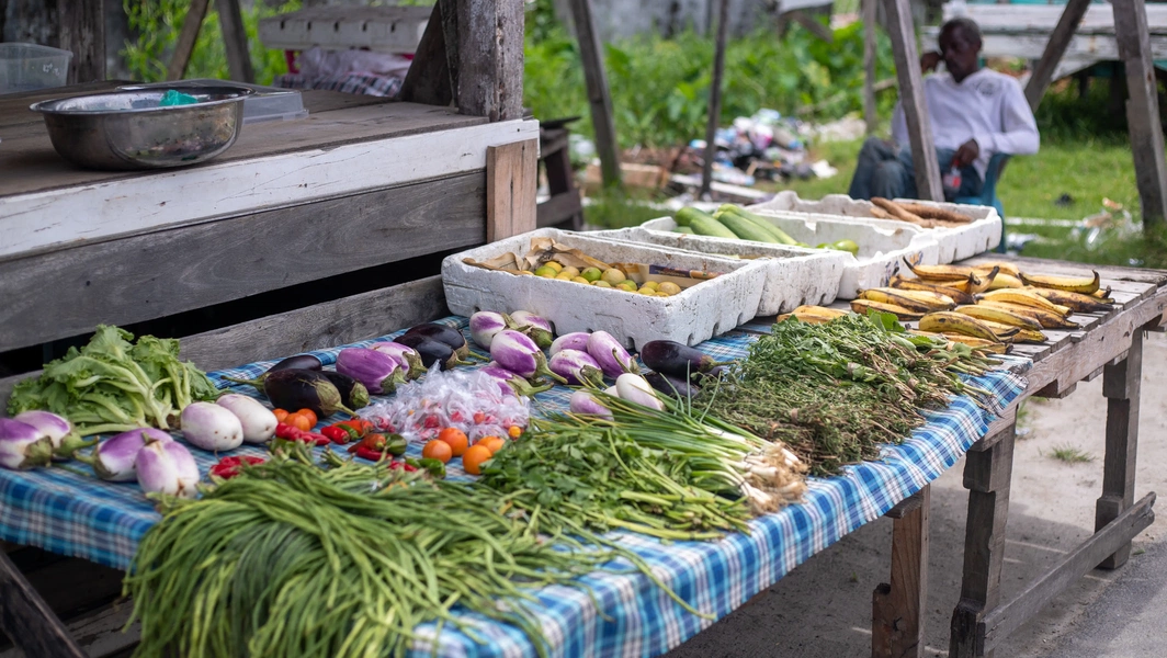 10 countries achieving high food self-sufficiency