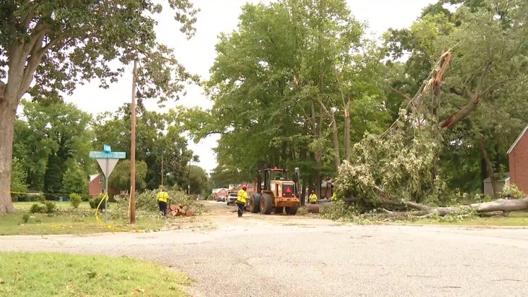 Hampton officials urge tree maintenance after storms bring down trees ...