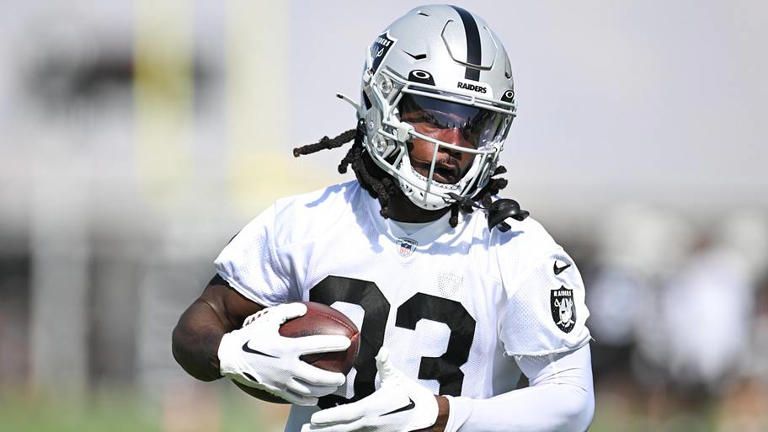 Chicago Bears signing UFL linebacker, working out veteran wide receiver