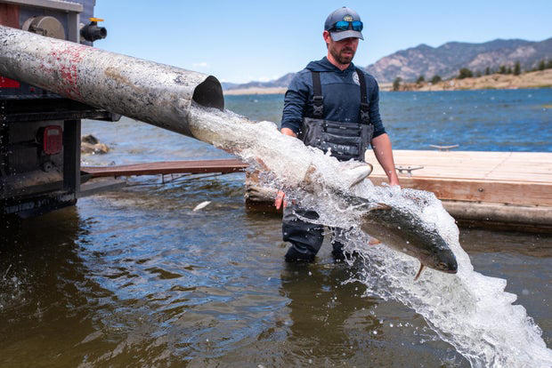 Colorado Parks and Wildlife salvages over 1,000 trout as Denver Water ...