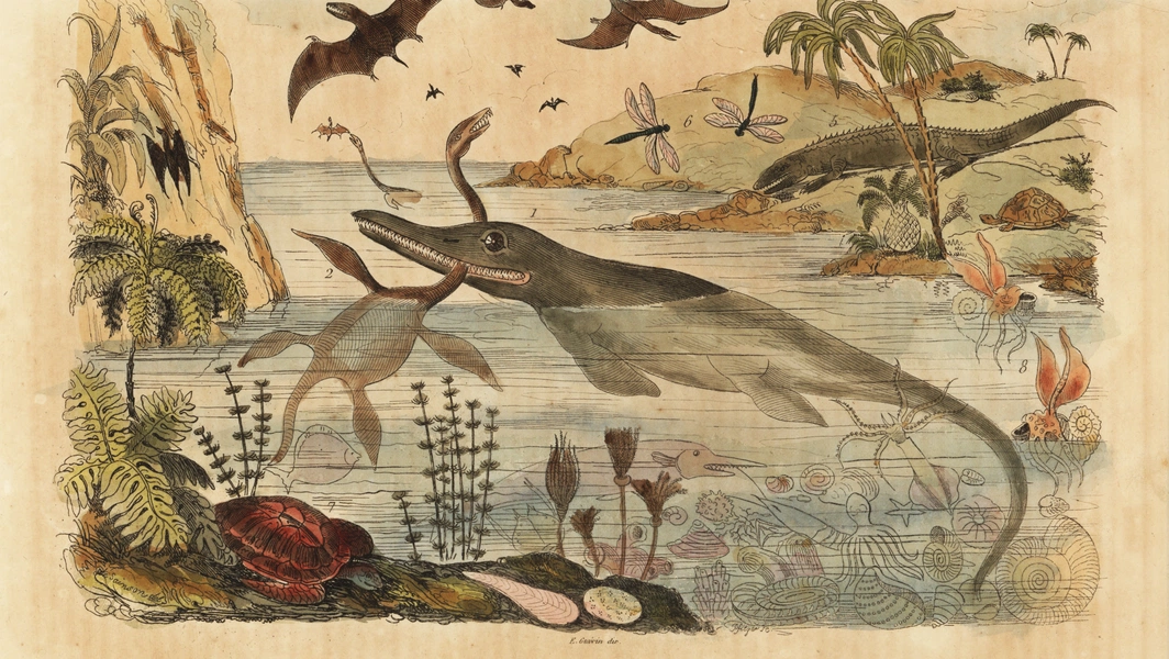 9 extinct creatures with extraordinary features