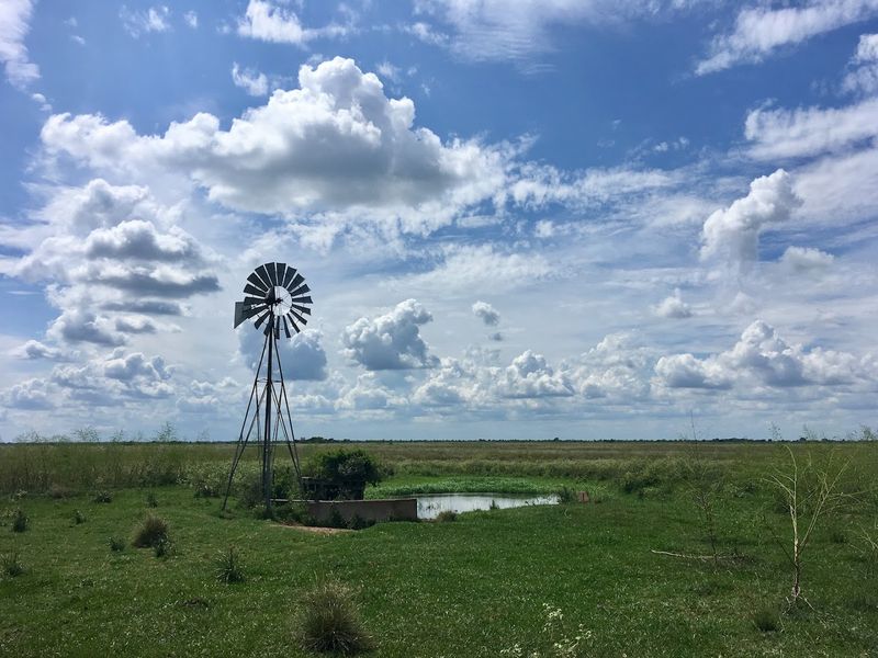 This Texas prairie preserve is known for wildflowers and open landscapes