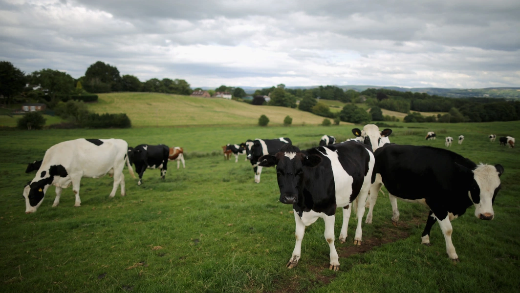 GB dairy farm numbers drop below 7,000 amid industry pressures
