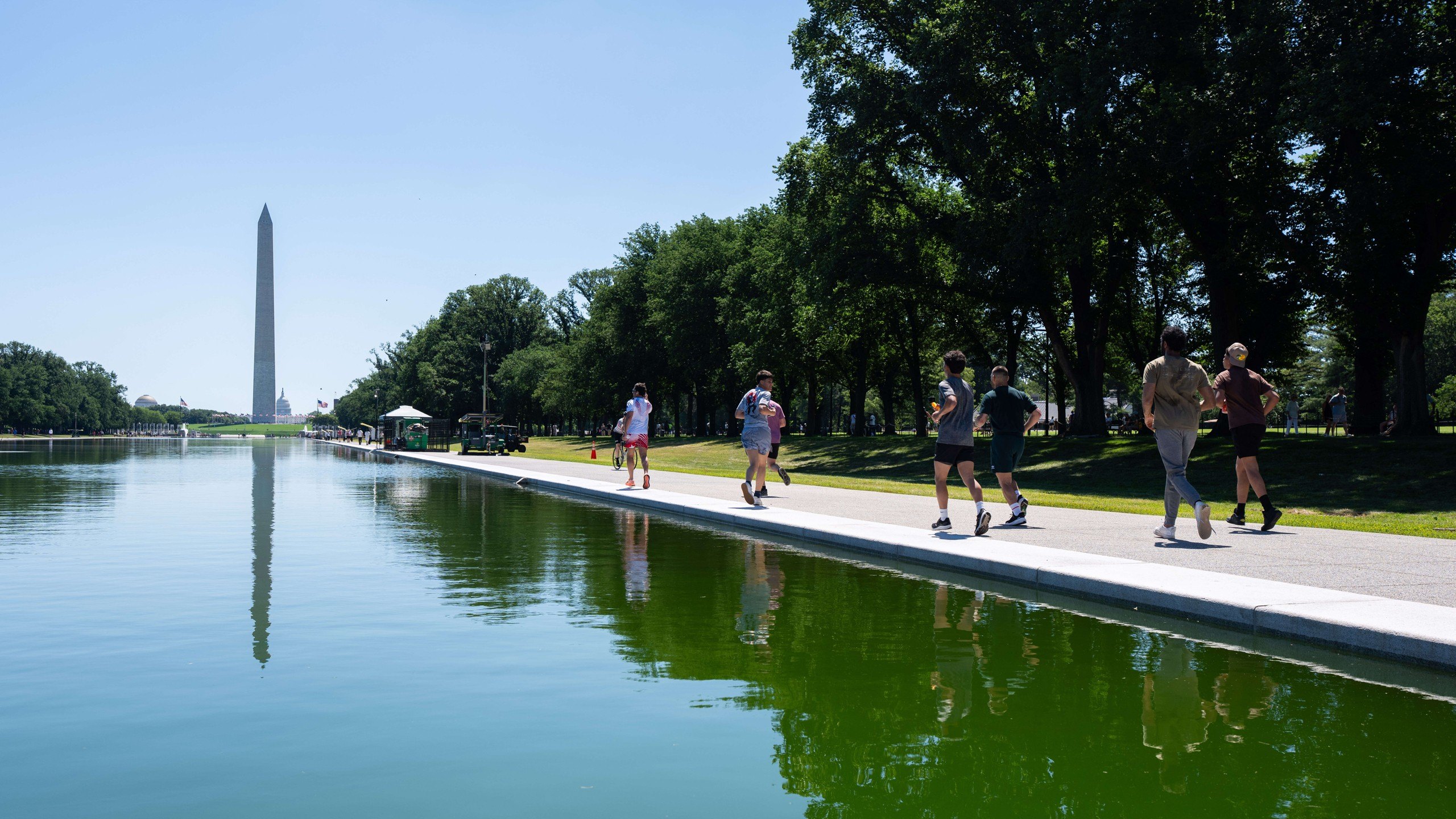 The Lincoln Memorial reflecting pool turned green. Your backyard pool ...