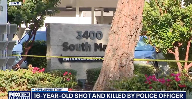 Knifeman, 16, is shot dead by cops after terrorizing his mom and her ...