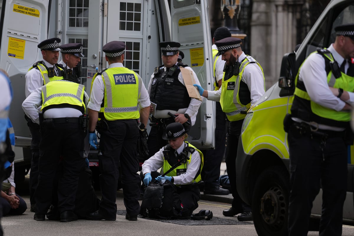 More than 100 arrested at protest outside court amid Palestine Action ...