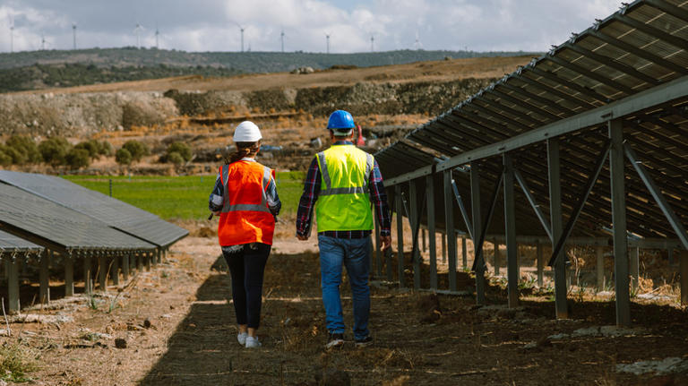 Solar panels over crops are providing an unexpected benefit for Arizona ...