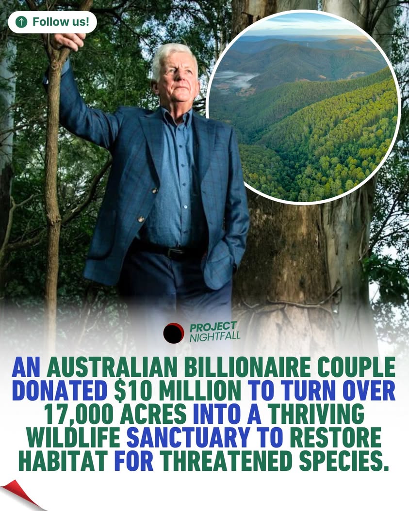 Billionaires ditch yachts and mansions, buy a forest for $10M!