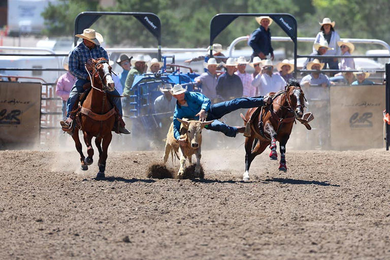 Photo of the Week: State rodeo champs crowned, Legion baseball seasons ...