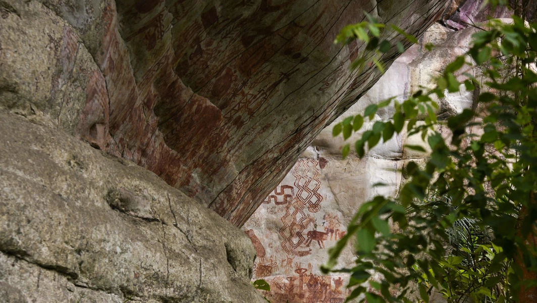 Ancient Amazonian rock art and Ice Age life