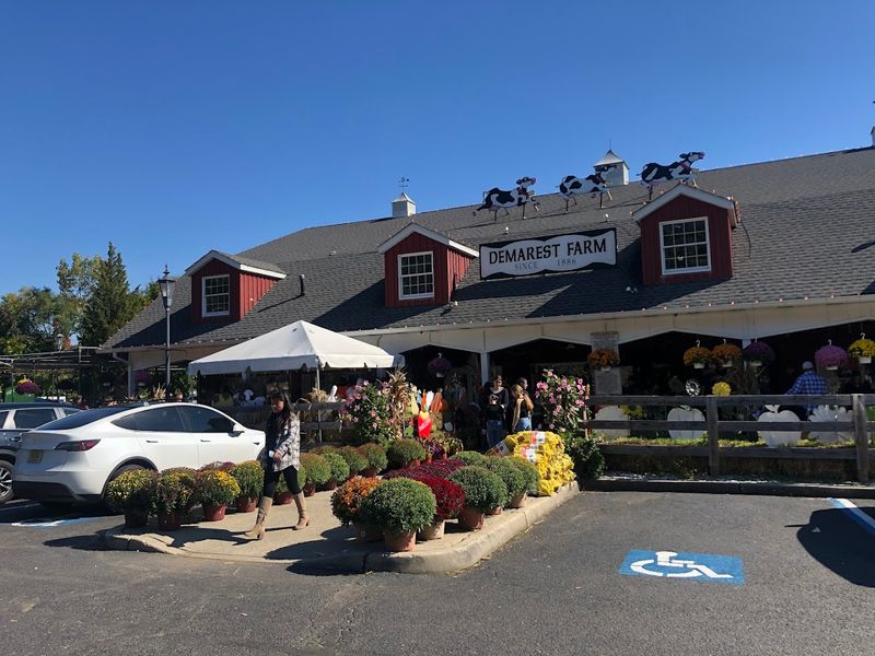 The New Jersey farm where peach season starts early July and runs all ...