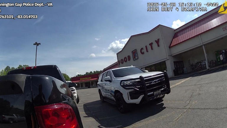 Charges filed after dog dies in hot car