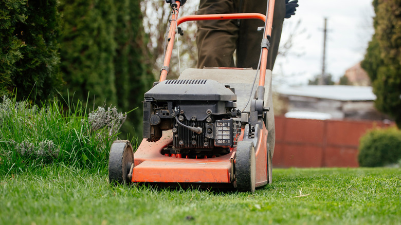 Grassroots movement wants all Americans to stop using their lawn mower ...