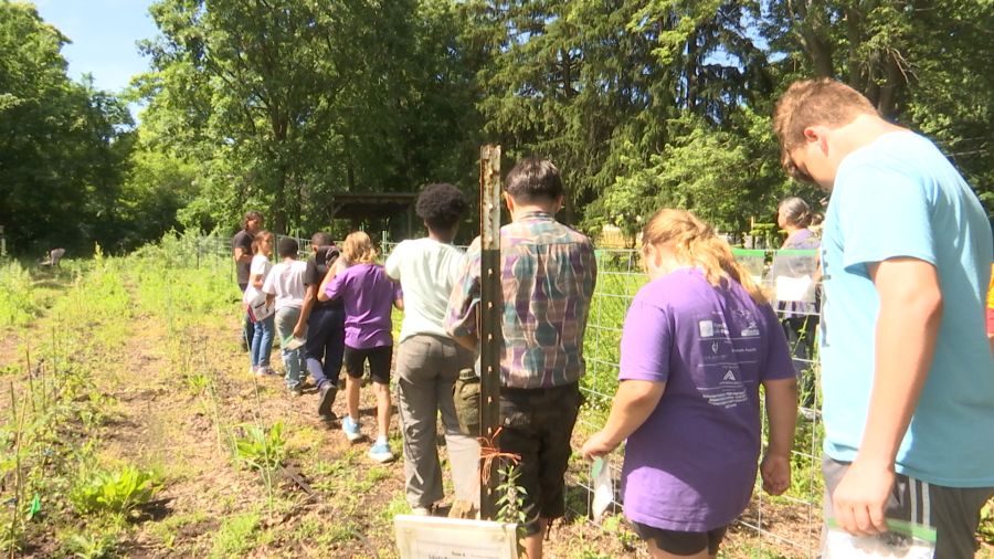 Kids learn farming skills at Urbandale Farm summer camp