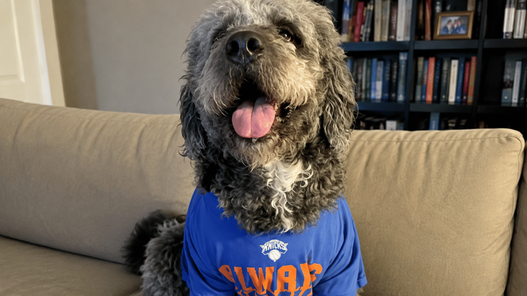 A family dog in a Knicks jersey is dead after a neighbor called LAPD on ...