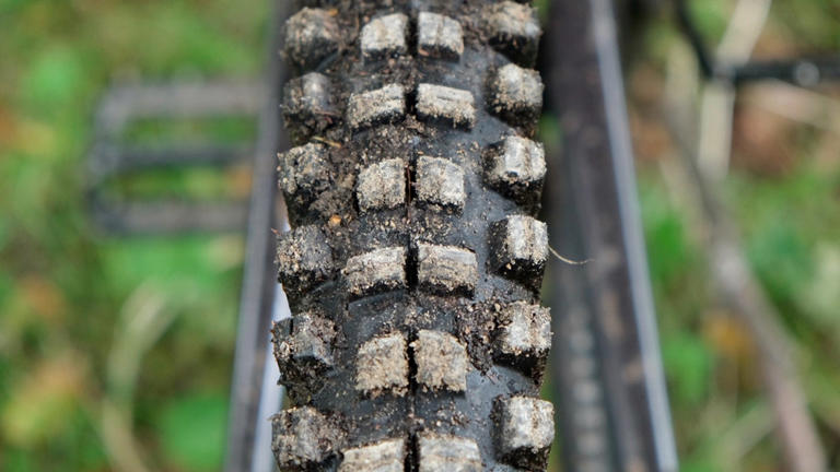 WTB Judge tyre review: Rear specific option for tough trails