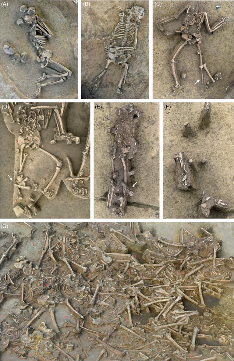 Nearly 80 headless human skeletons discovered at a spooky Stone Age site
