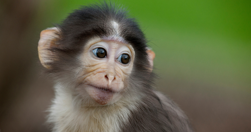 19-year-old cousin decides to call animal sanctuary to take her 68-year ...