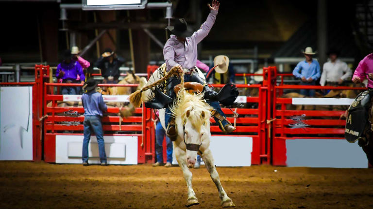 82nd annual Rodeo of the Ozarks starts Wednesday