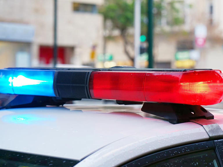 Pittsburgh-area man accused of shooting his mother