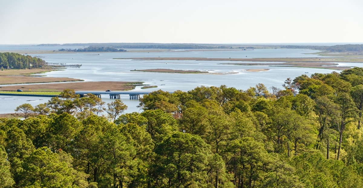 12 national wildlife refuges across the US worth visiting in summer