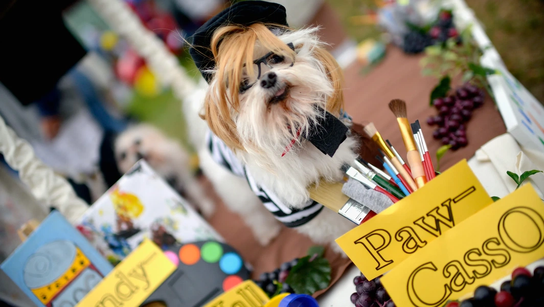 5 clever and unusual pet names