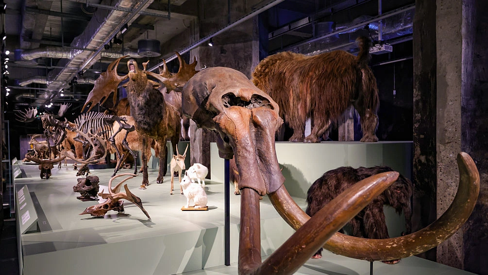 13 extinct animals reimagined through science