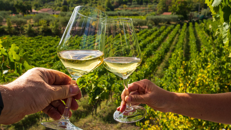 Riesling vs Sauvignon Blanc: What's the difference between these wines?