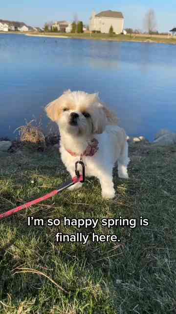 A simple walk that turned into pure joy