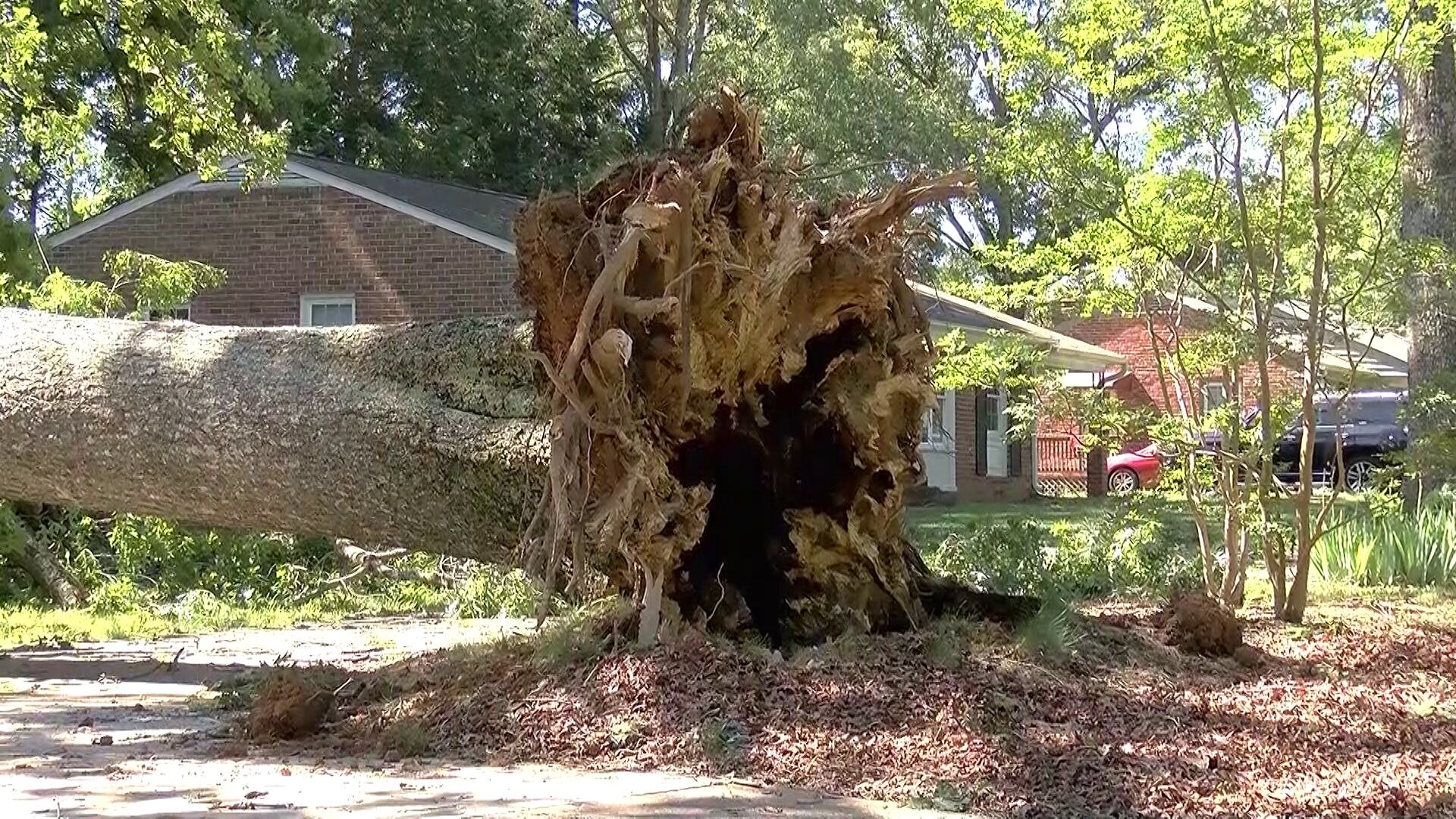 Storm sends trees through roofs of two North Chesterfield homes