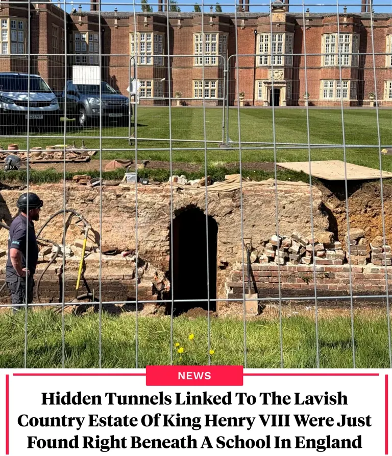 Hidden tunnels linked to the lavish country estate of King Henry VIII ...