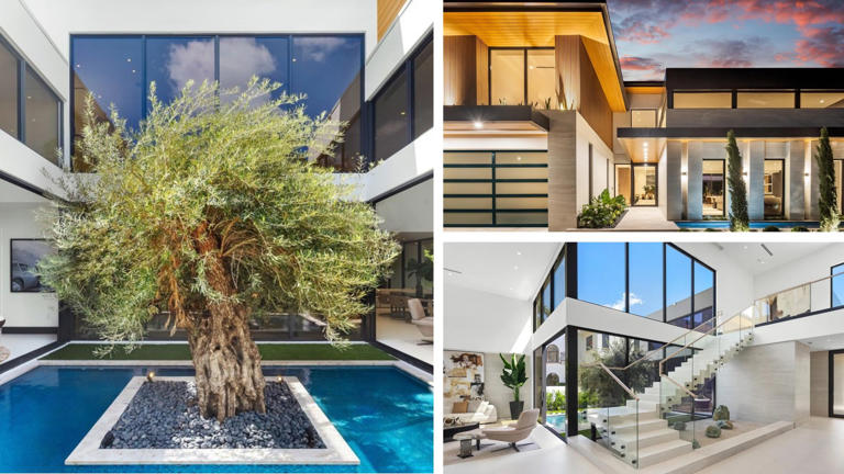 Exclusive: Dazzling wellness retreat built around 125-year-old olive ...